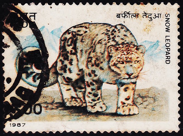 INDIA ANIMAL SNOW LEOPARD USED STAMPS - Stistamp